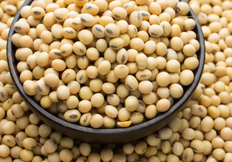 Full Fat Soya Grits – Shri Sumati Industries Pvt. Ltd.